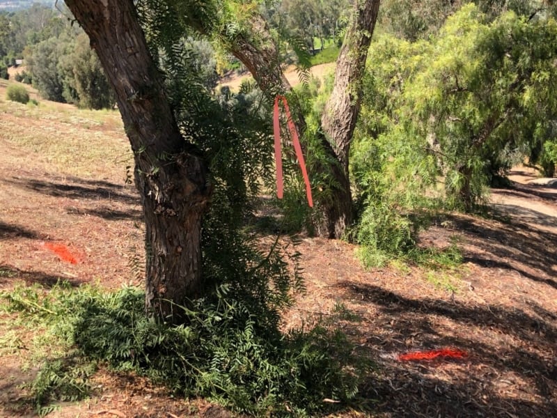 Trail Signage – Spray Paint and Ribbons – Nellie Gail Ranch Owners ...